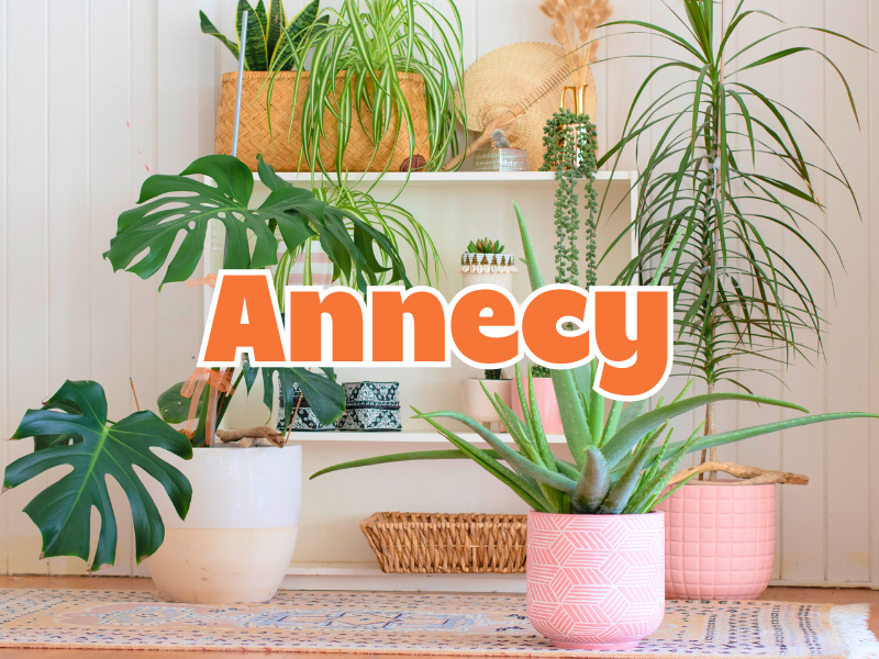 Grande vente de Plantes - ANNECY – Plantes Pour Tous Grande vente de Plantes - ANNECY – Plantes Pour Tous